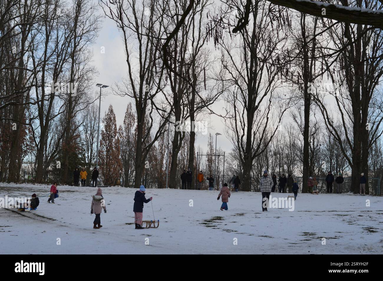 Berlin, Germany - February 16, 2025 - Winter day in Volkspark ...