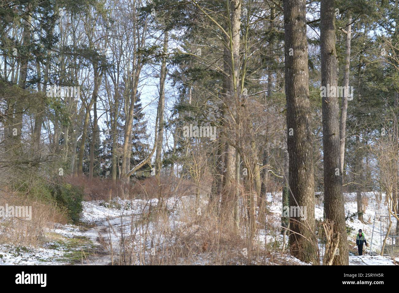 Berlin, Germany - February 16, 2025 - Winter day in Volkspark ...