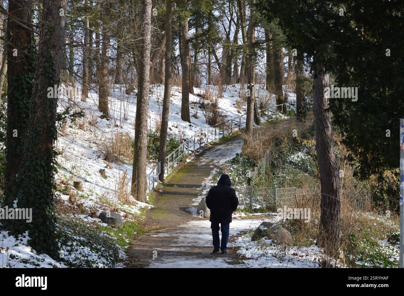 Berlin, Germany - February 16, 2025 - Winter day in Volkspark ...