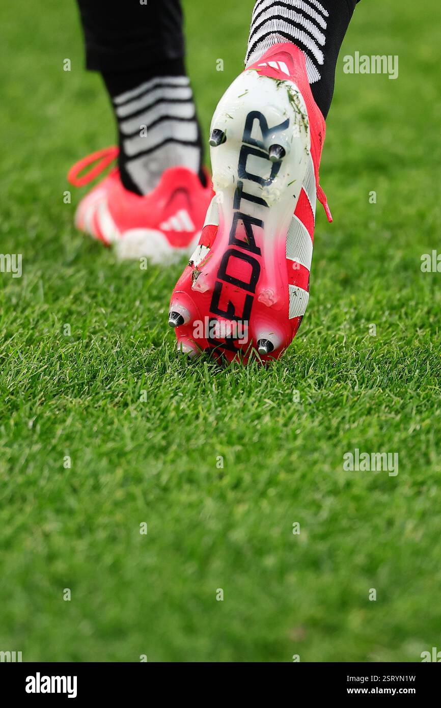 The Predator Adidas shoes of Alex Meret of SSC Napoli during the Serie ...