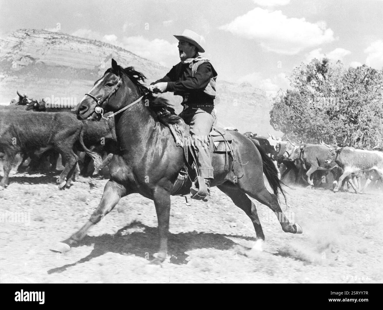 ANGEL AND THE BAD MAN JOHN WAYNE Date: 1947 Stock Photo - Alamy