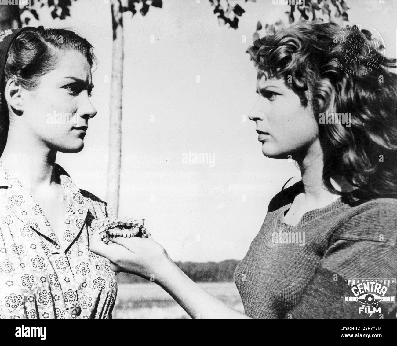 RISO AMARO aka BITTER RICE DORIS DOWLING, SILVANA MANGANO RISO AMARO Date: 1949 Stock Photo - Alamy