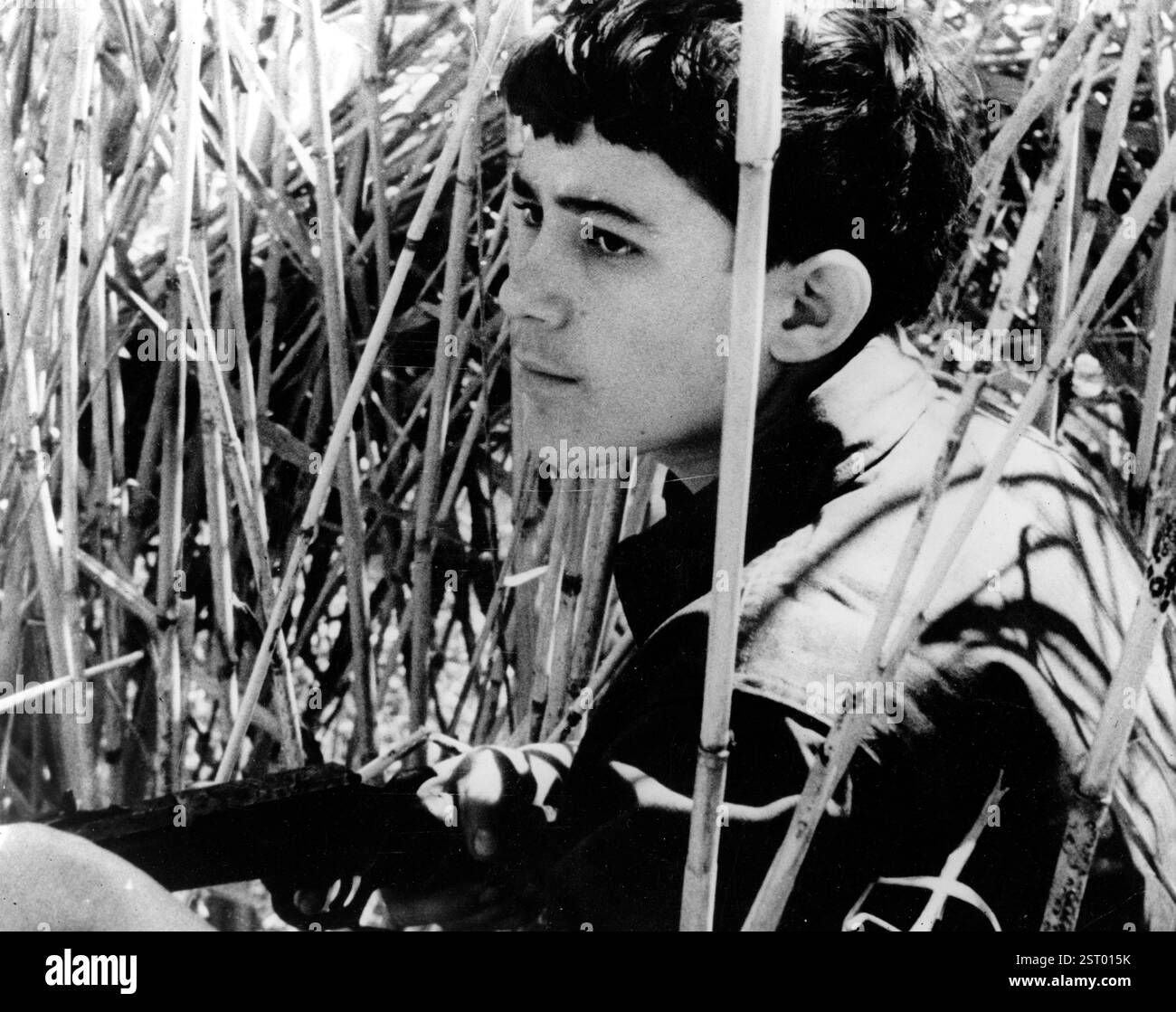 LOUISIANA STORY JOSEPH BOUDREAUX Date: 1948 Stock Photo - Alamy