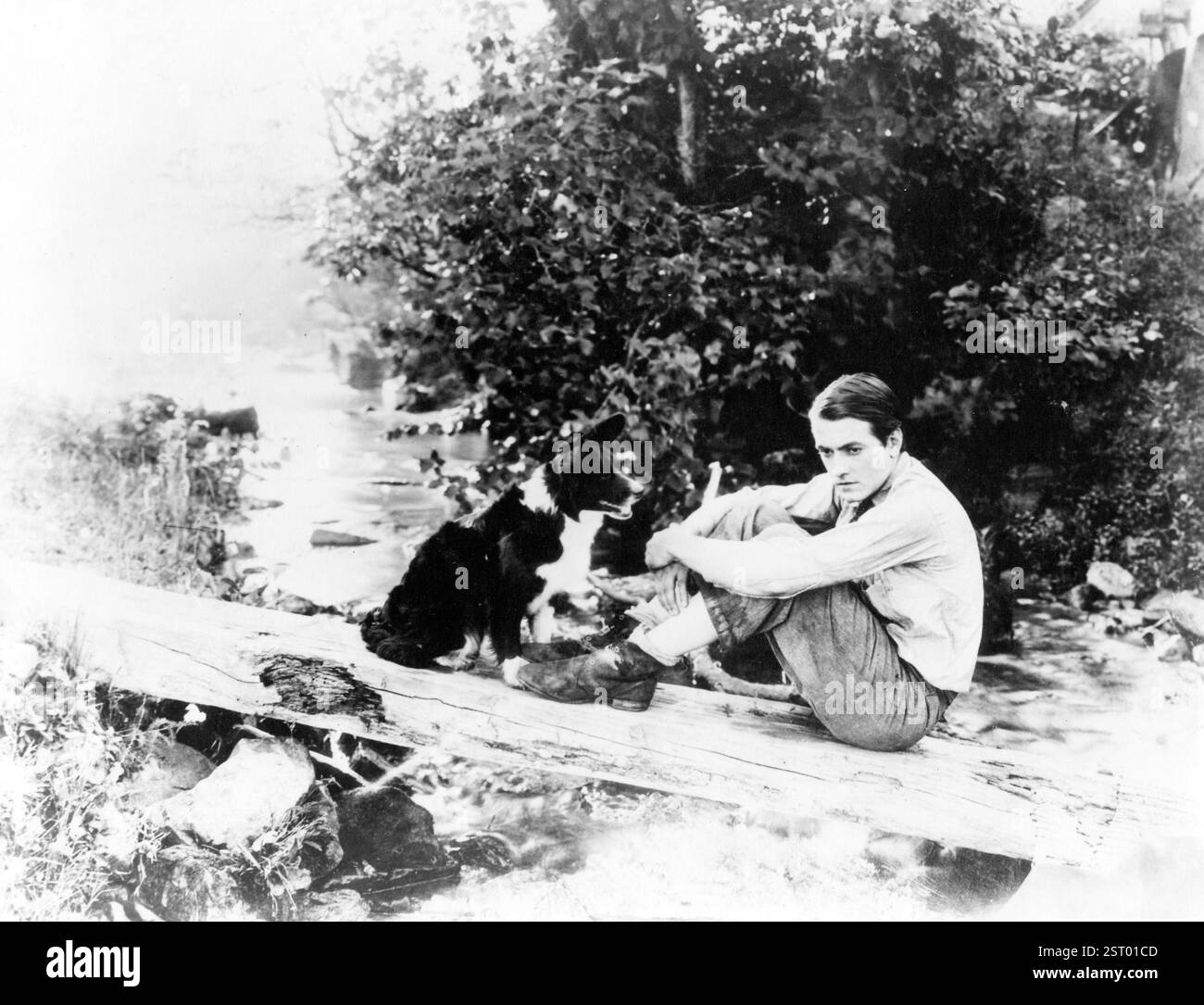 David tolable hi-res stock photography and images - Alamy