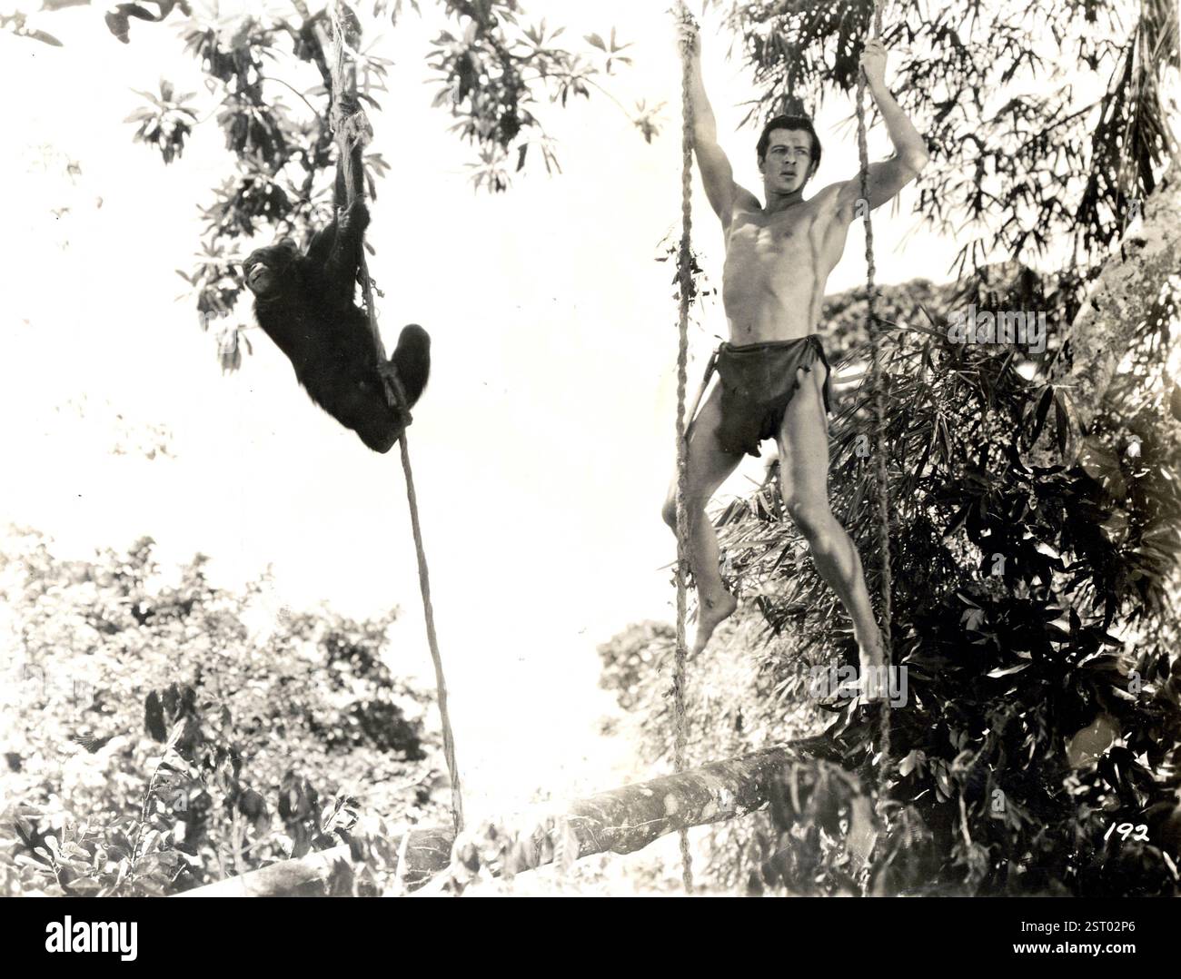 THE NEW ADVENTURES OF TARZAN HERMAN BRIX AS TARZAN Date: 1935 Stock ...