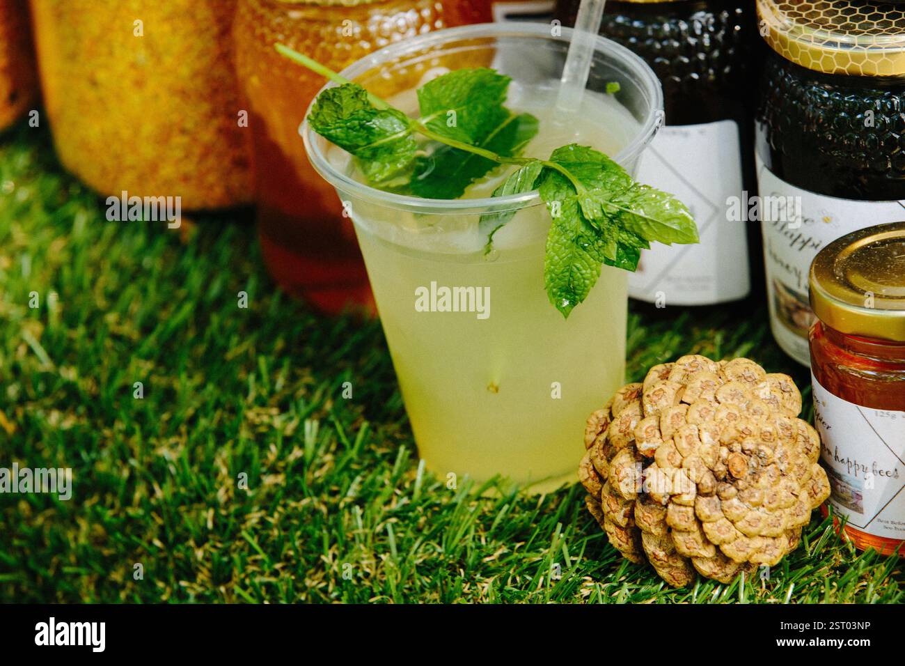 Mint lemonade at a market, featuring local honey. Grass and pine cone ...