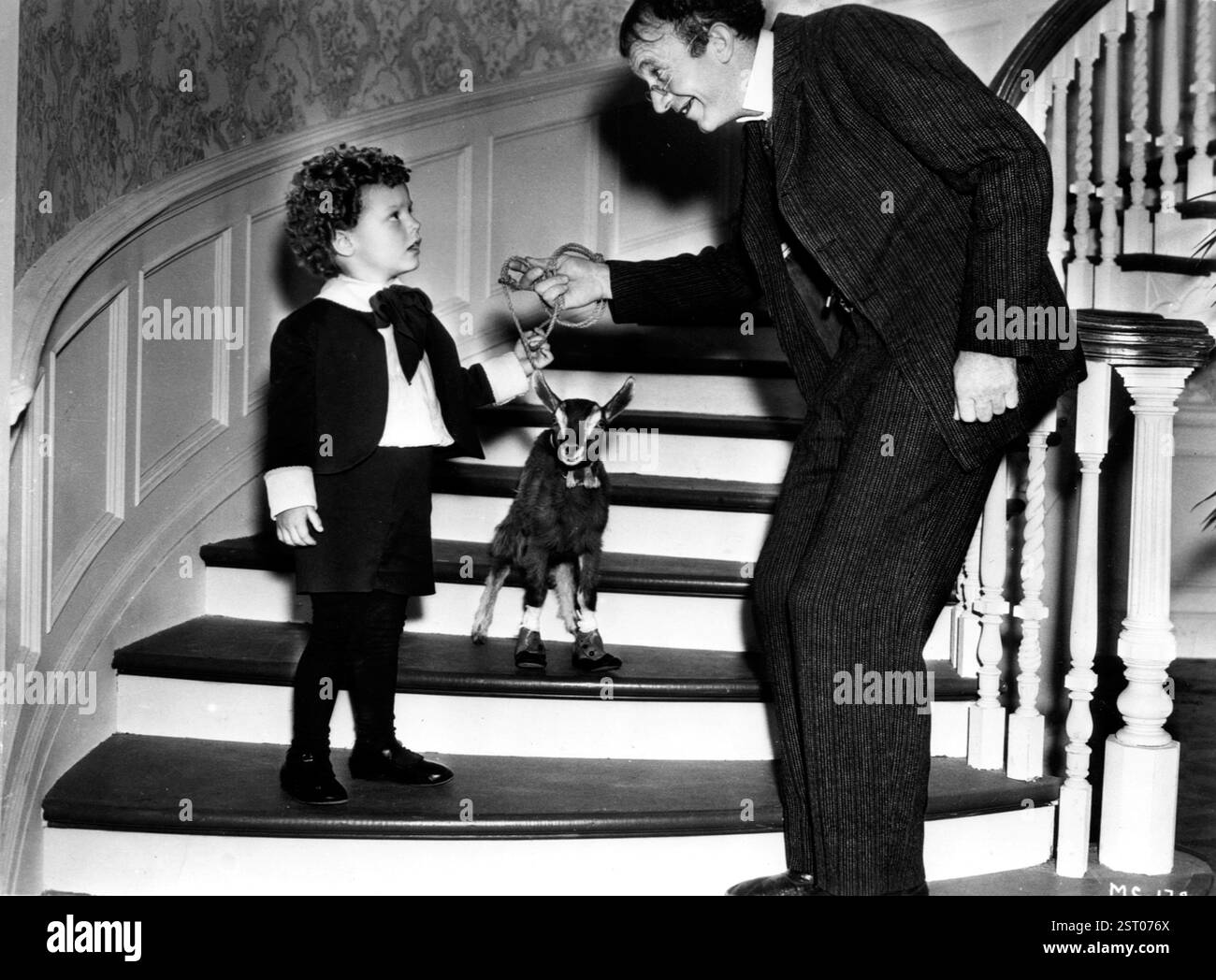 Walter carey hi-res stock photography and images - Alamy