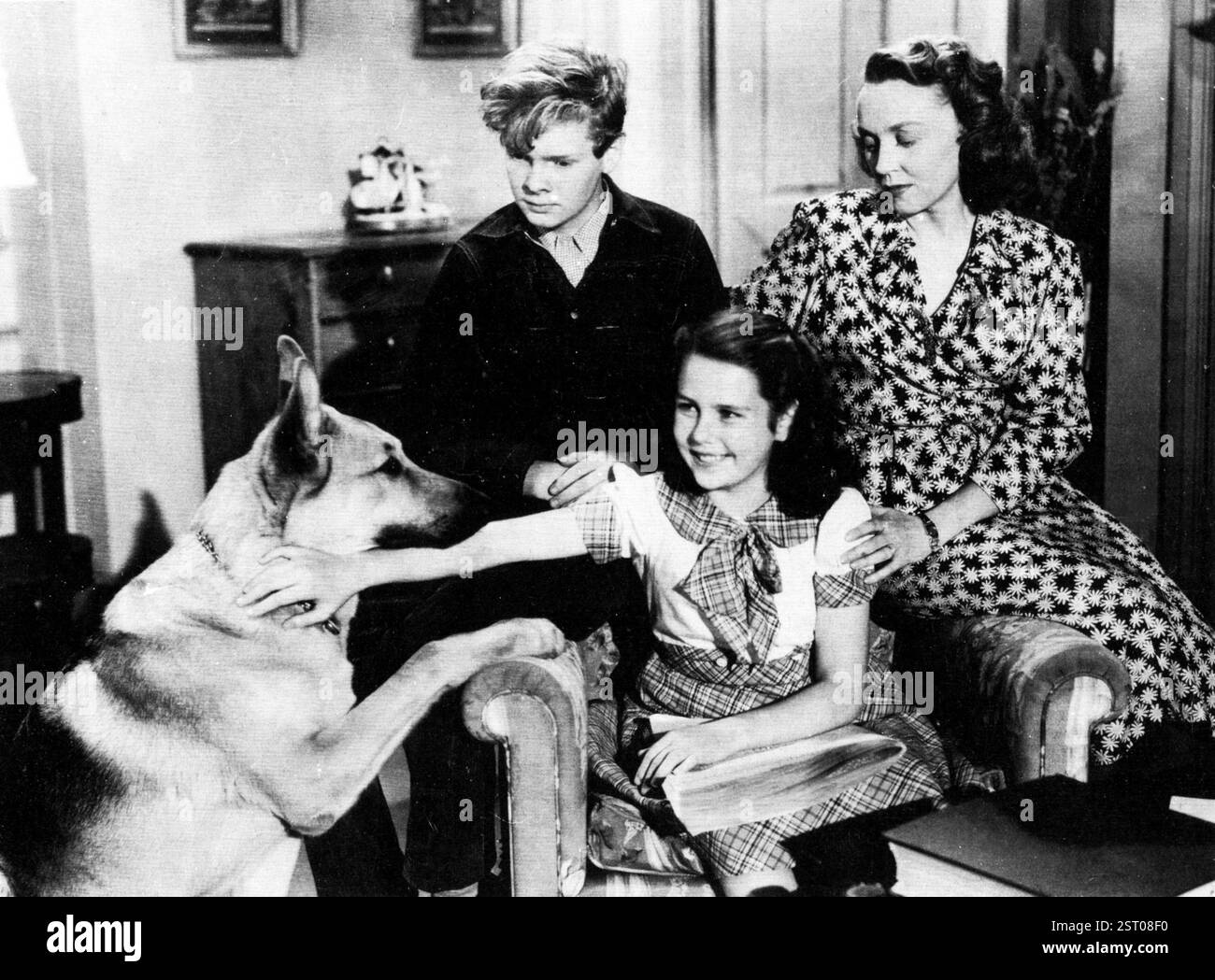 Ann doran Black and White Stock Photos & Images - Alamy