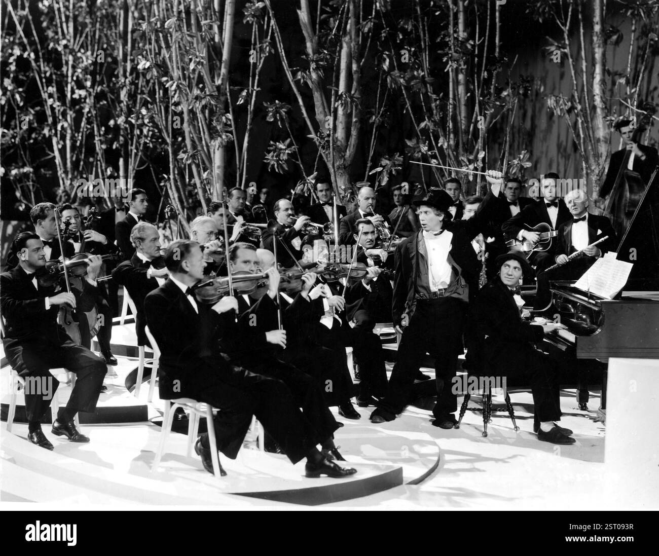 A DAY AT THE RACES [US 1937] HARPO MARX, CHICO MARX Date: 1937 Stock ...