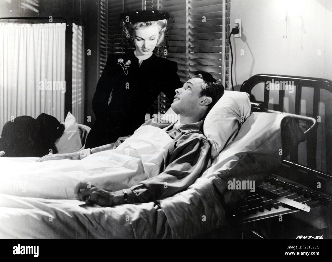 THE GLASS KEY [US 1942] VERONICA LAKE, ALAN LADD Date: 1942 Stock Photo ...