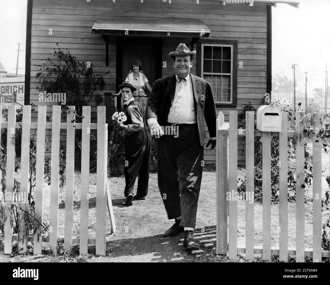 Virginia fox hi-res stock photography and images - Alamy