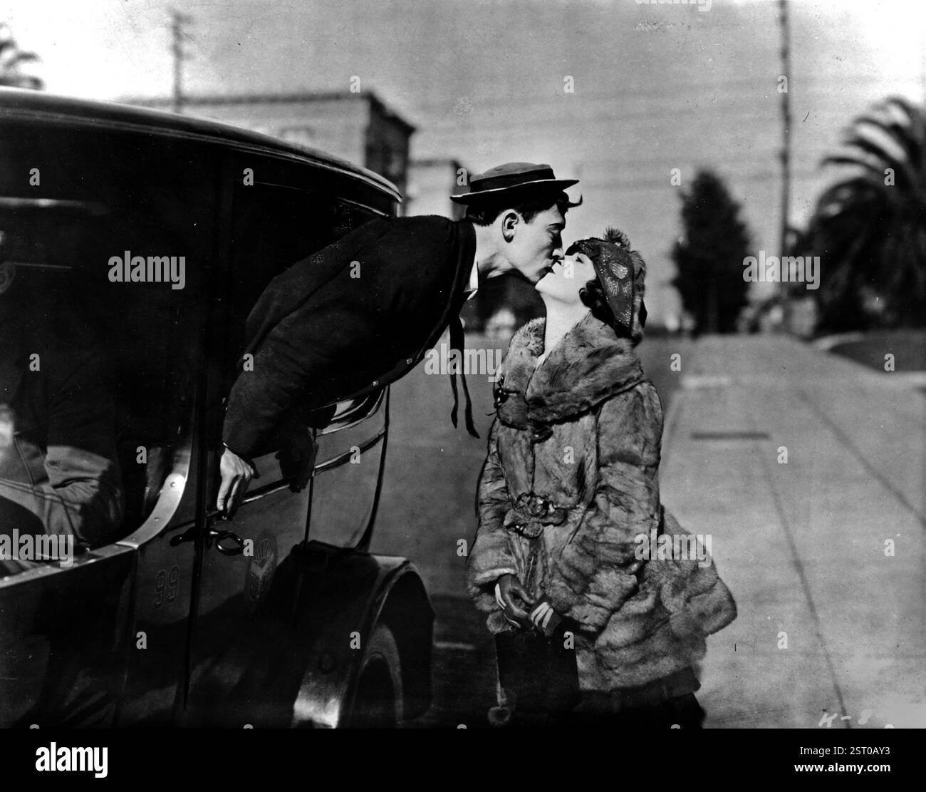 Virginia fox hi-res stock photography and images - Alamy