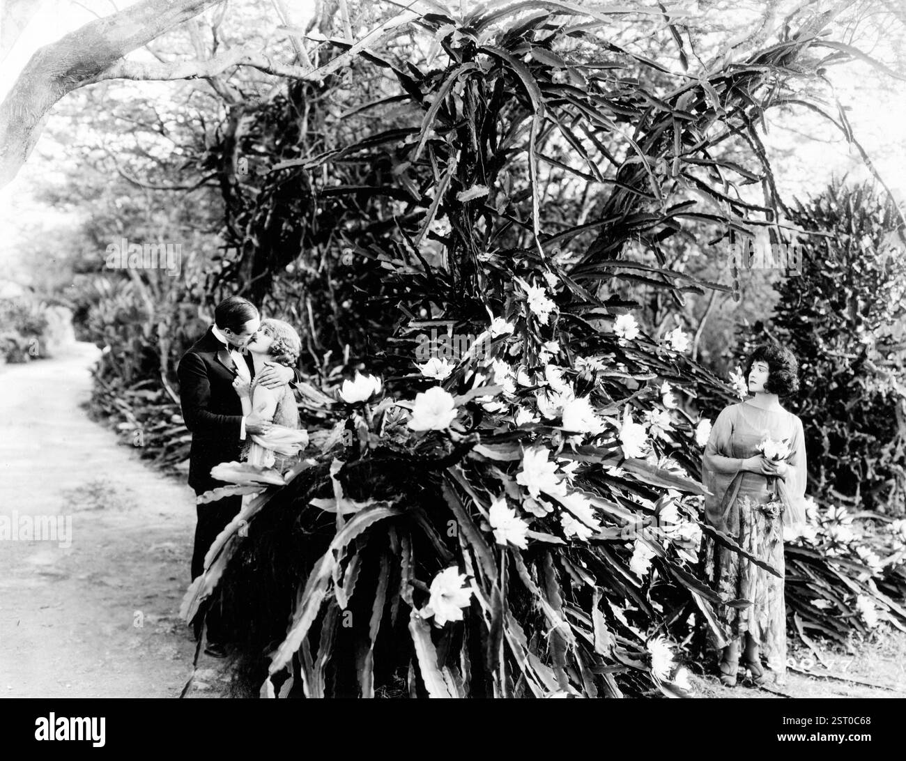 THE WHITE FLOWER [US 1923] [L-R] EDMUND LOWE, BETTY COMPSON, ARLINE ...