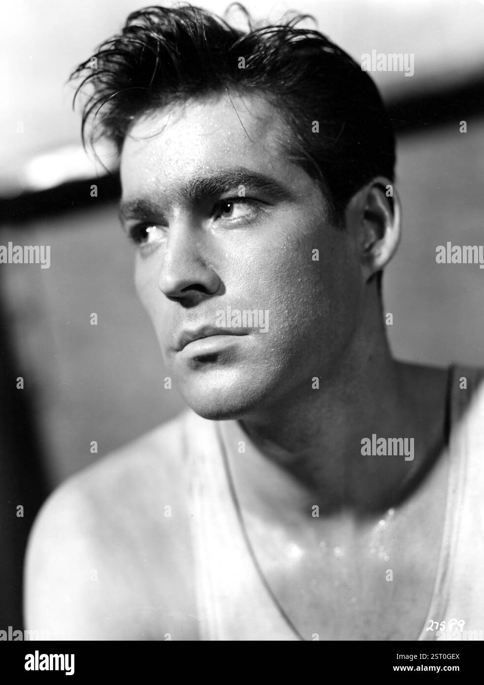 MICHAEL CRAIG [b. 1928] Date: 1928 Stock Photo - Alamy