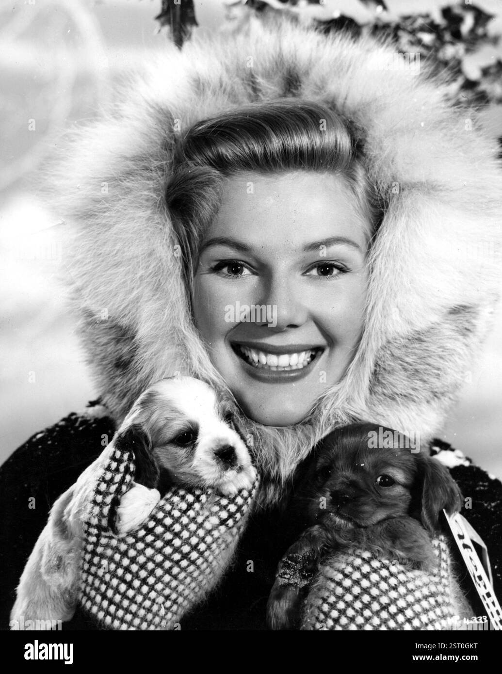 SUSAN BEAUMONT [b.1936] Date: 1936 Stock Photo - Alamy