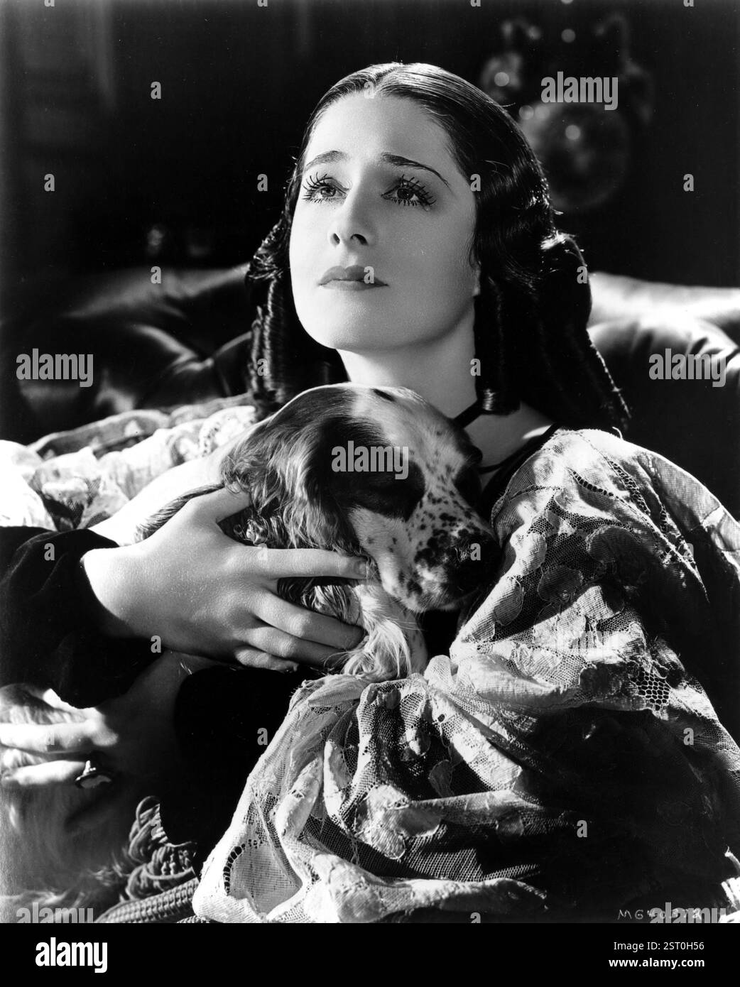 THE BARRETTS OF WIMPOLE STREET [US 1934] NORMA SHEARER Date: 1934 Stock Photo - Alamy
