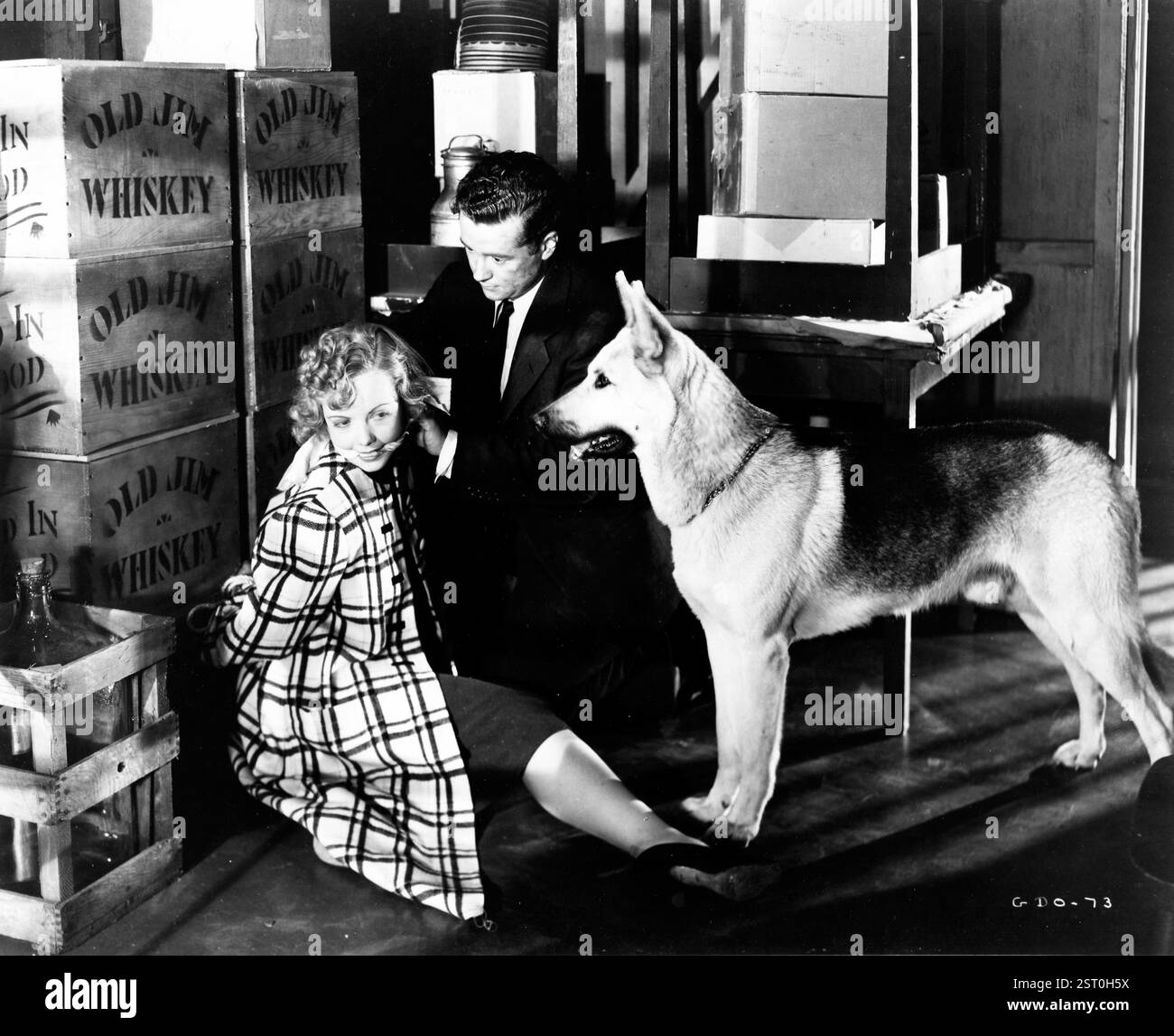 THE ROOKIE COP [US 1939] aka G-DOG aka SWIFT VENGEANCE JANET SHAW, TIM ...