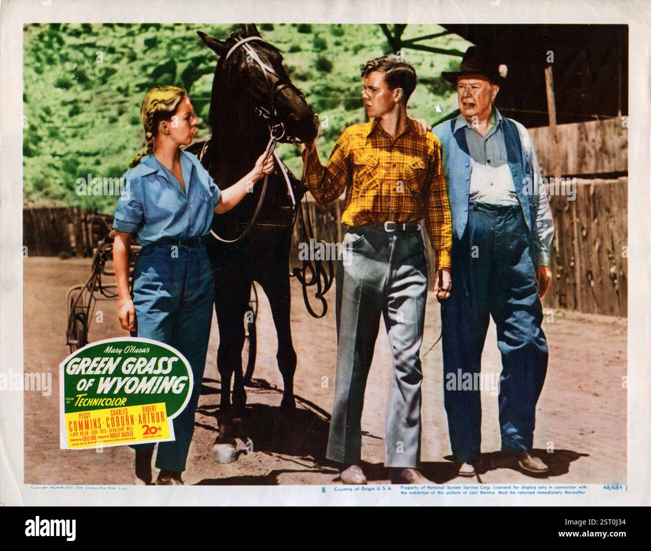 GREEN GRASS OF WYOMING [US 1948] PEGGY CUMMINS, ROBERT ARTHUR, CHARLES COBURN Date: 1948 Stock ...