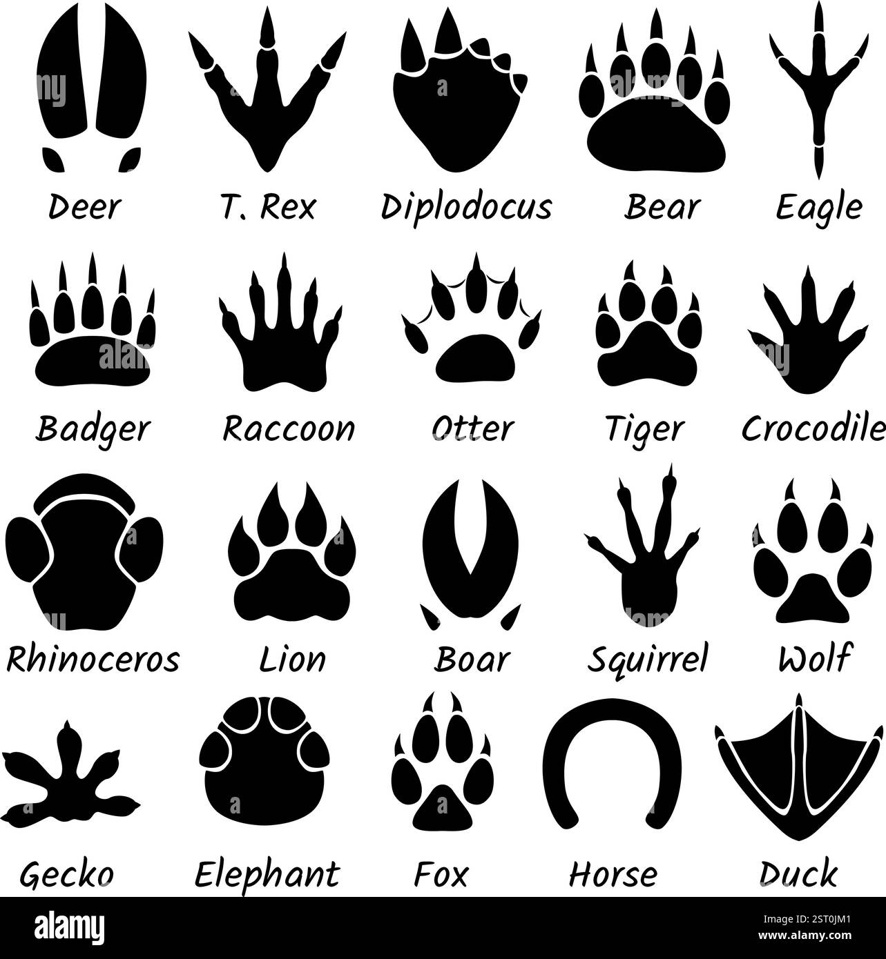 Animal tracks footprints wildlife forest animals Dinosaur Bear Lion Elephant Badger vector ...