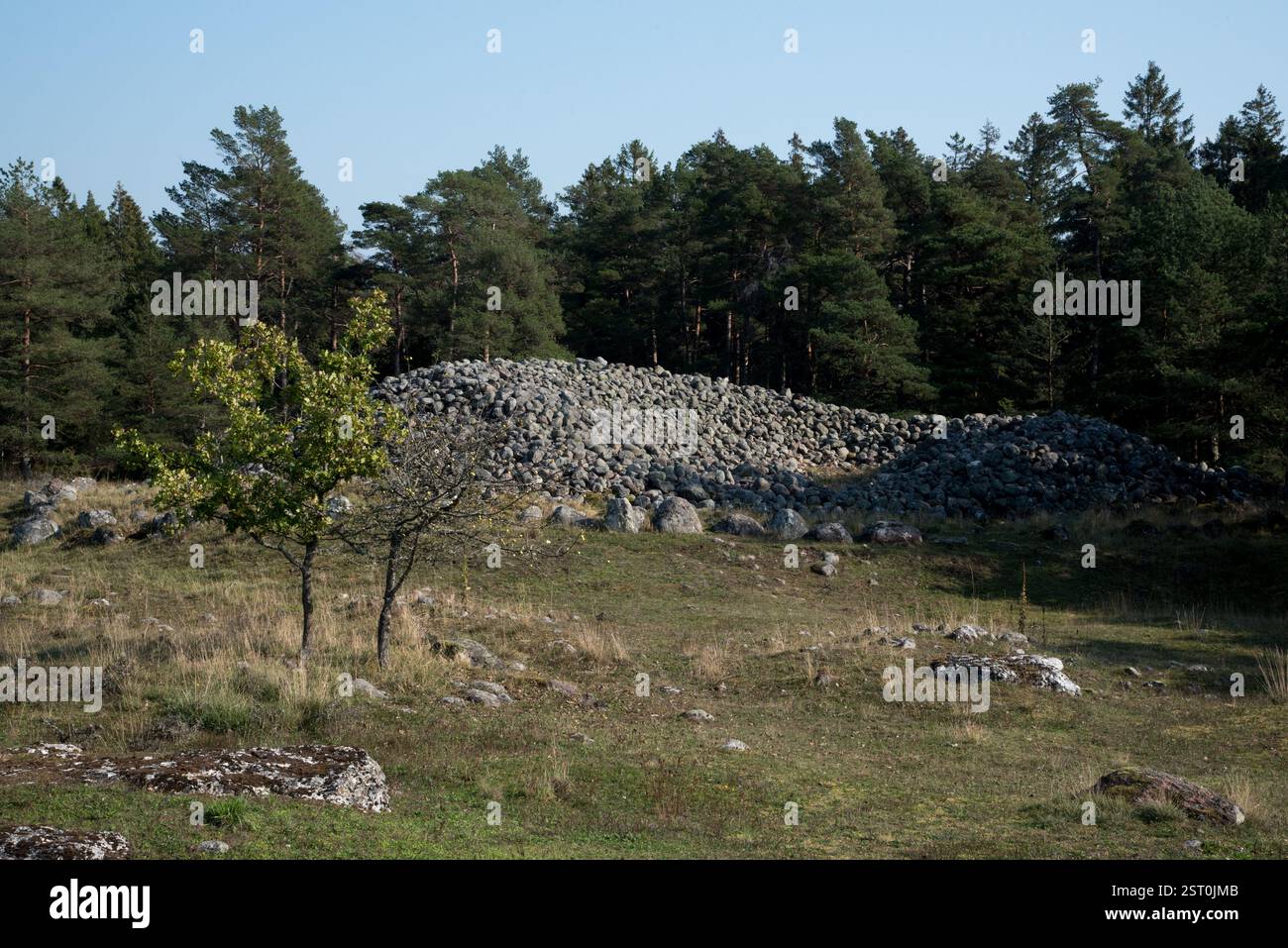 Gålrum's cobble cairn grave was constructed as a four meter high and 30 ...
