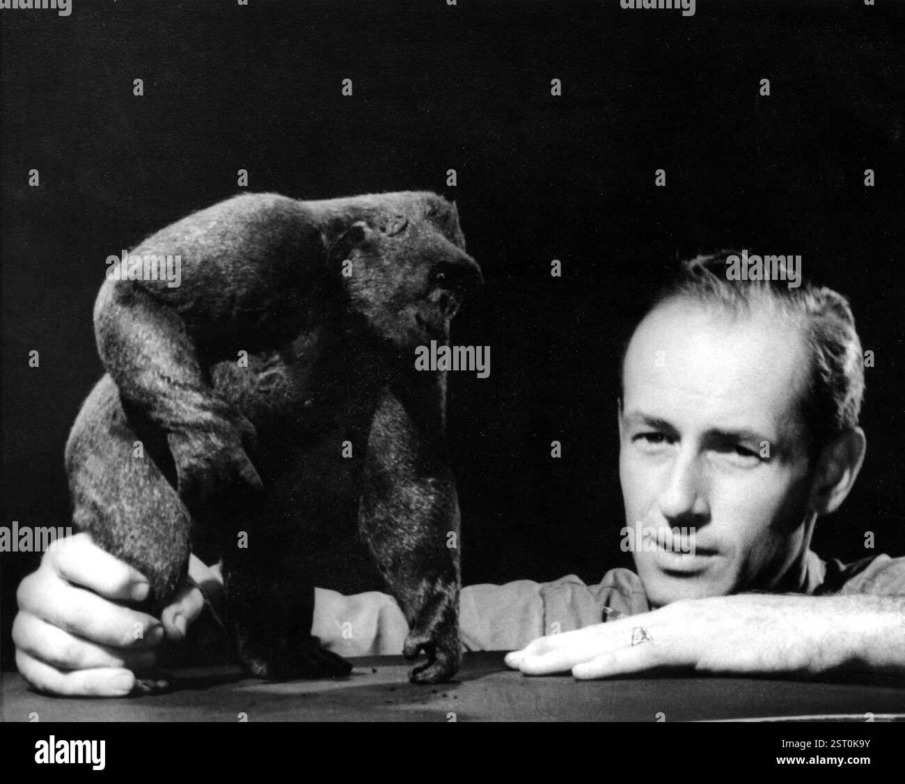 MIGHTY JOE YOUNG [US 1949] Stop motion animator RAY HARRYHAUSEN with ...