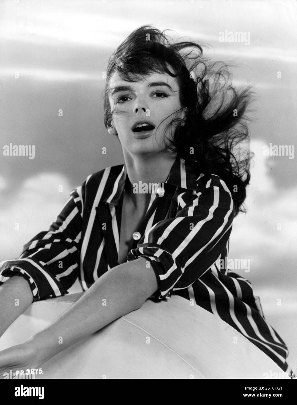 BARBARA STEELE [b. 1937] British actress Date: 1937 Stock Photo - Alamy