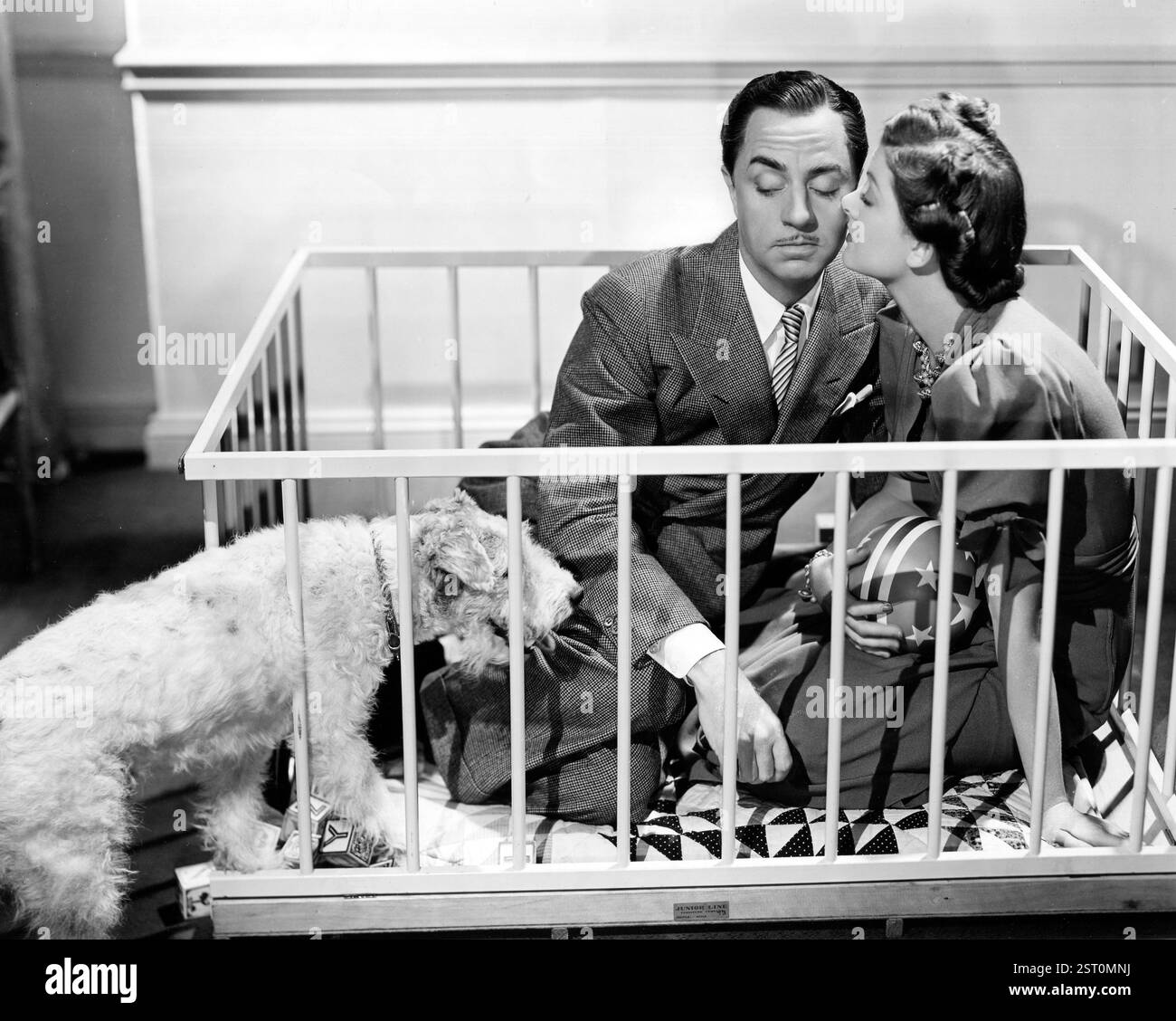 ANOTHER THIN MAN [US 1939] ASTA, WILLIAM POWELL, MYRNA LOY Date: 1939 Stock Photo - Alamy