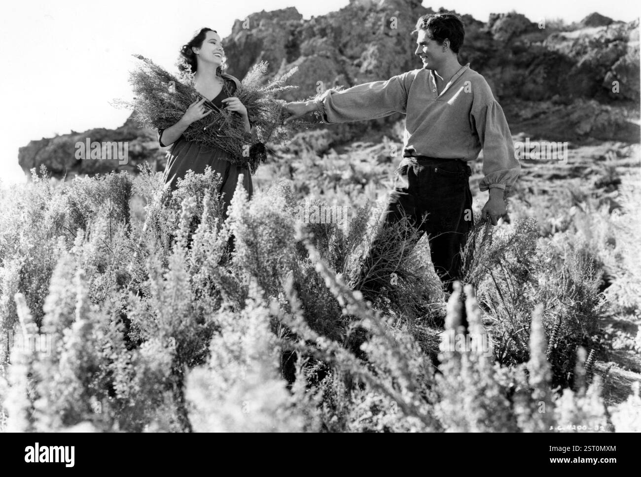 WUTHERING HEIGHTS [US 1939] MERLE OBERON as Cathy, LAURENCE OLIVIER as Heathcliff Date: 1939 ...