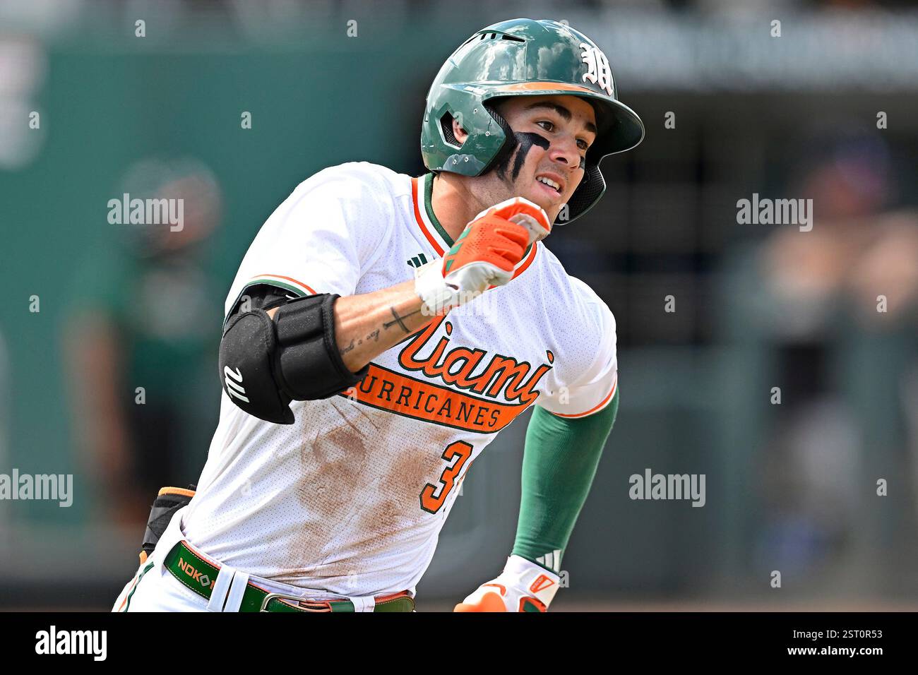 CORAL GABLES, FL - FEBRUARY 16: Miami outfielder Michael Torres (34 ...
