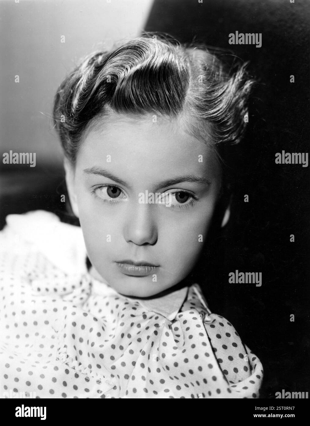 Janette scott janette scott janette hi-res stock photography and images ...