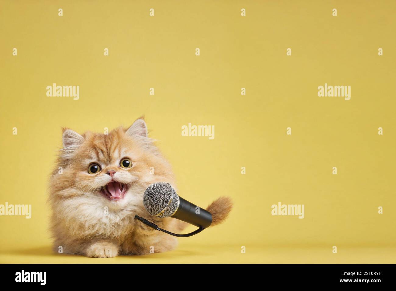 A cute cat holding a microphone and a megaphone, smiling brightly Stock ...