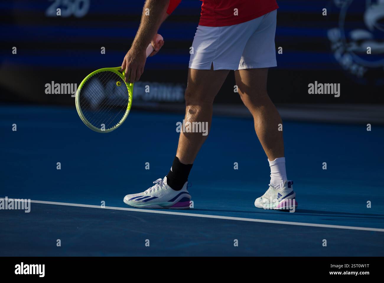 DELRAY BEACH, FLORIDA - FEBRUARY 16: Alejandro Davidovich Fokina of Spain serves against Miomir ...
