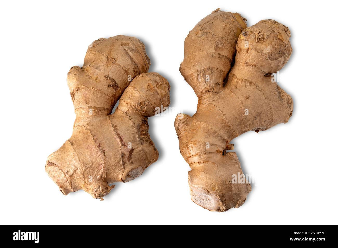 Ginger root isolated on white with clipping path included Stock Photo ...