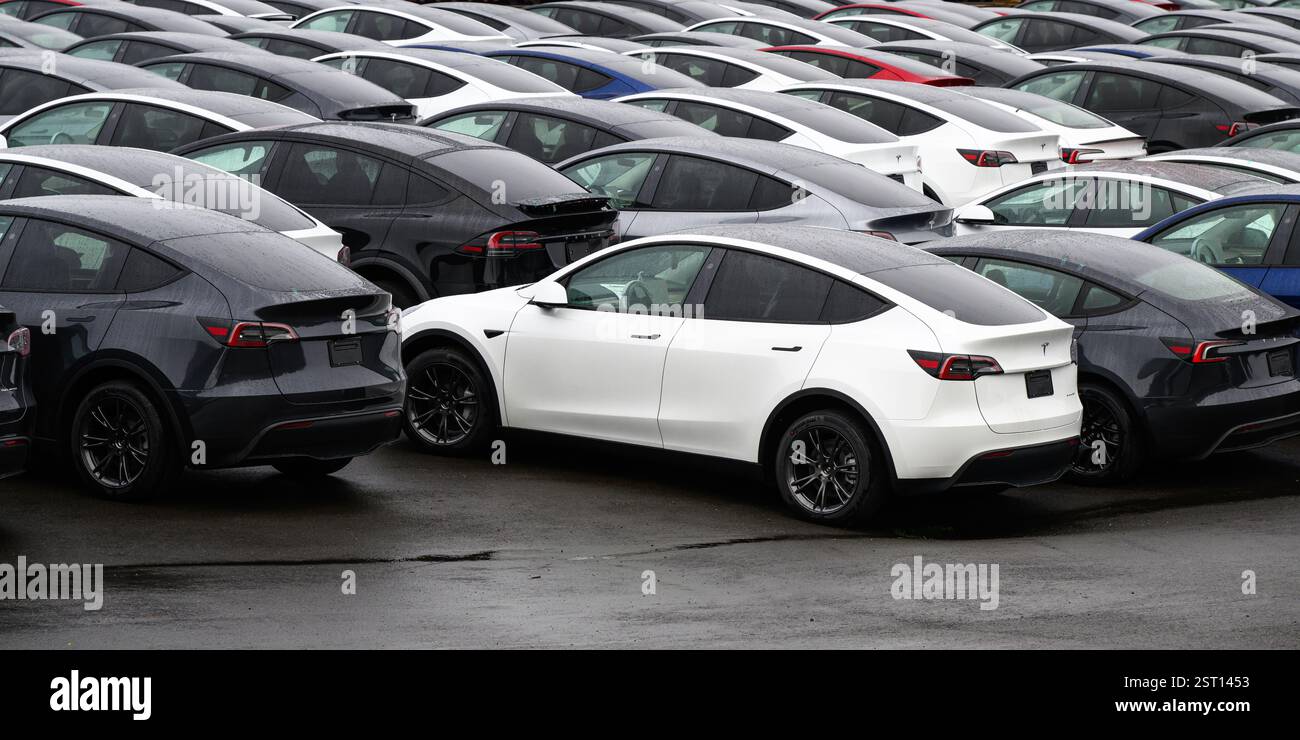 Seattle - February 16, 2025; New Tesla electric cars parked in wet ...