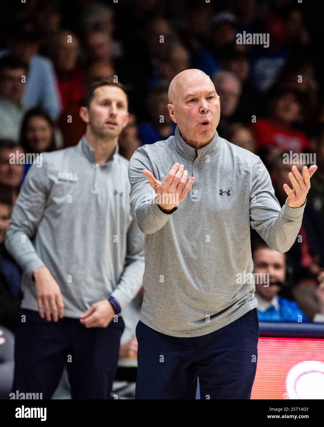 2025 0014 jpg hi-res stock photography and images - Alamy