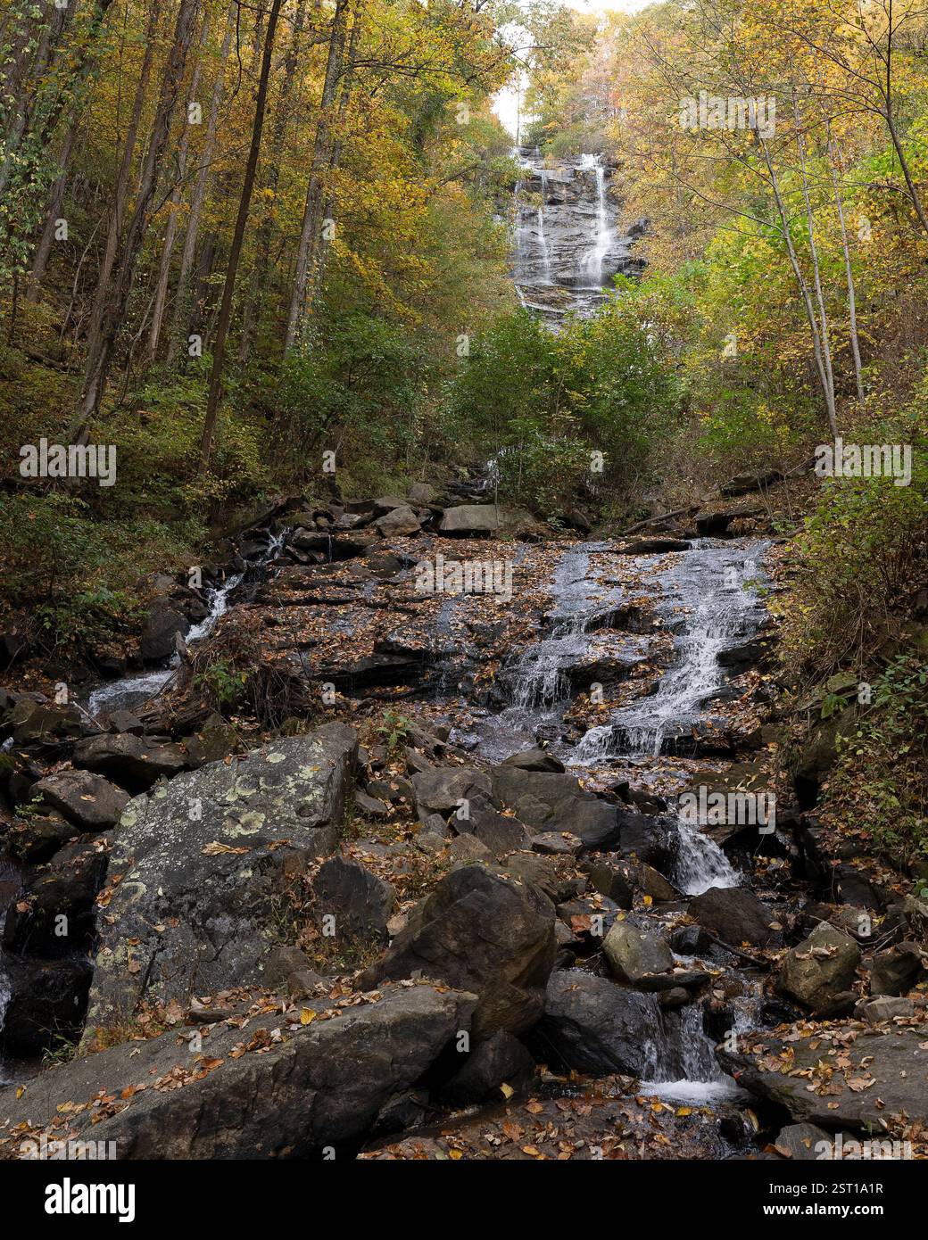 Amicalola Falls, GA, USA. View of the top to the base of the falls with water cascading down ...