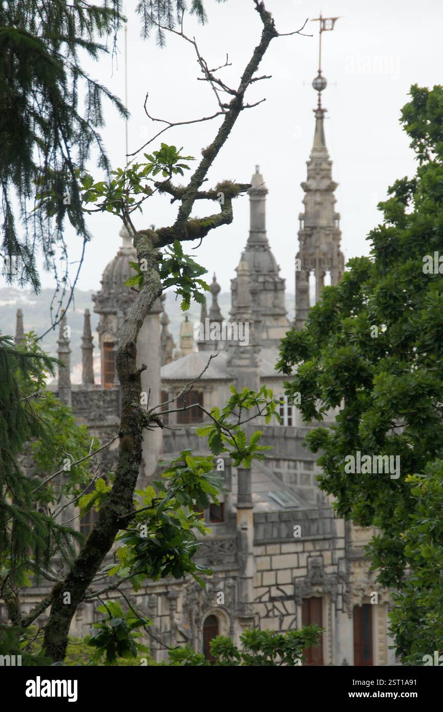 Esha Gupta, Bollywood actress, exudes confidence in a stylish ensemble ...