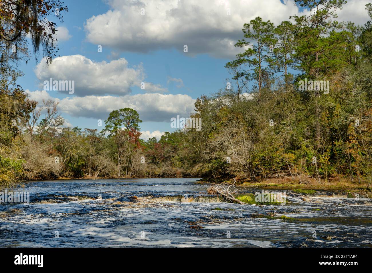 The Suwannee River in Florida at 55 feet. It transforms into a Class ...
