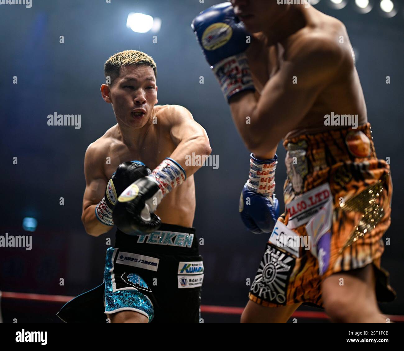 Tokyo, Japan. 1st Feb, 2025. Champion Ryusei Matsumoto (black gloves) knocks down challenger ...