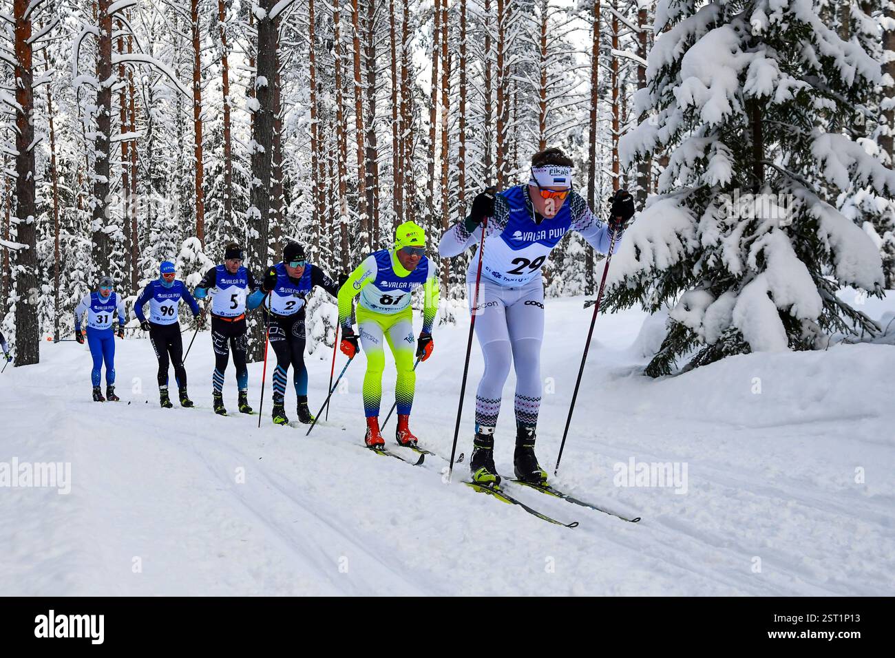 Alutaguse, Estonia. 16th Feb, 2025. Skiers compete during the 40km ...