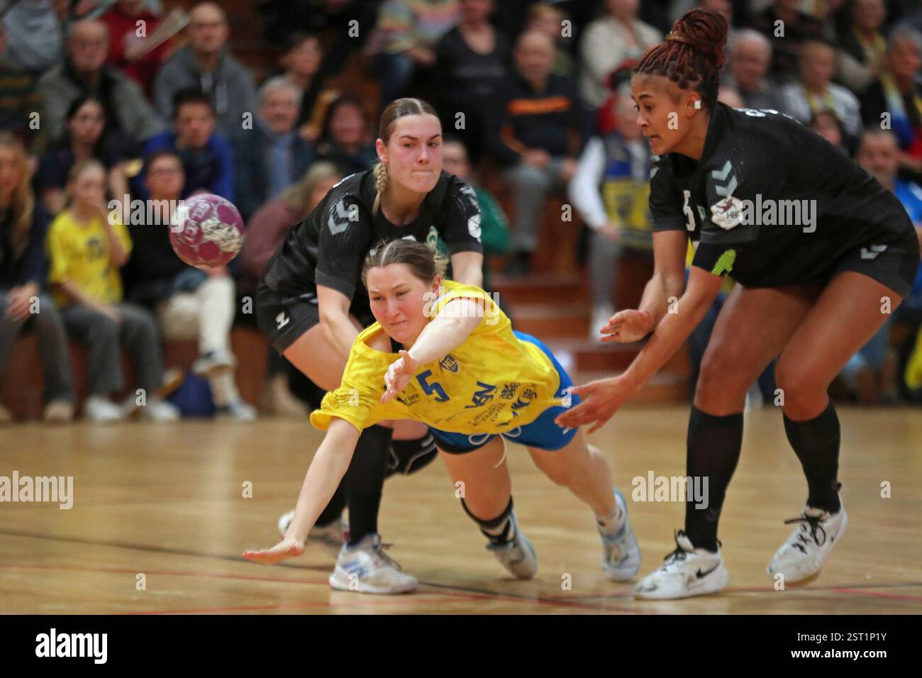 Leipzig, Deutschland. 16th Feb, 2025. Handball, 2. Bundesliga Frauen ...