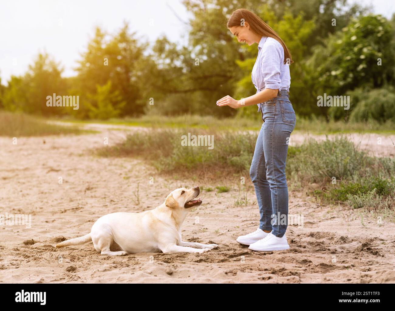 Woman giving a command to her obedient labrador Stock Photo - Alamy