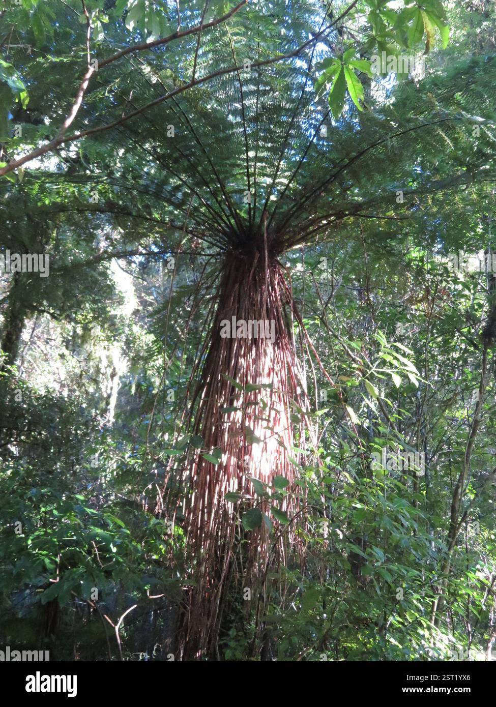 Smiths range hi-res stock photography and images - Alamy