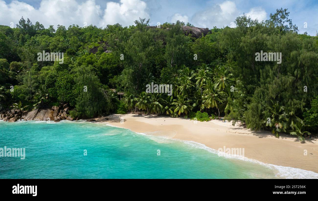 Soft sandy shoreline meets emerald green waters with lush tropical ...
