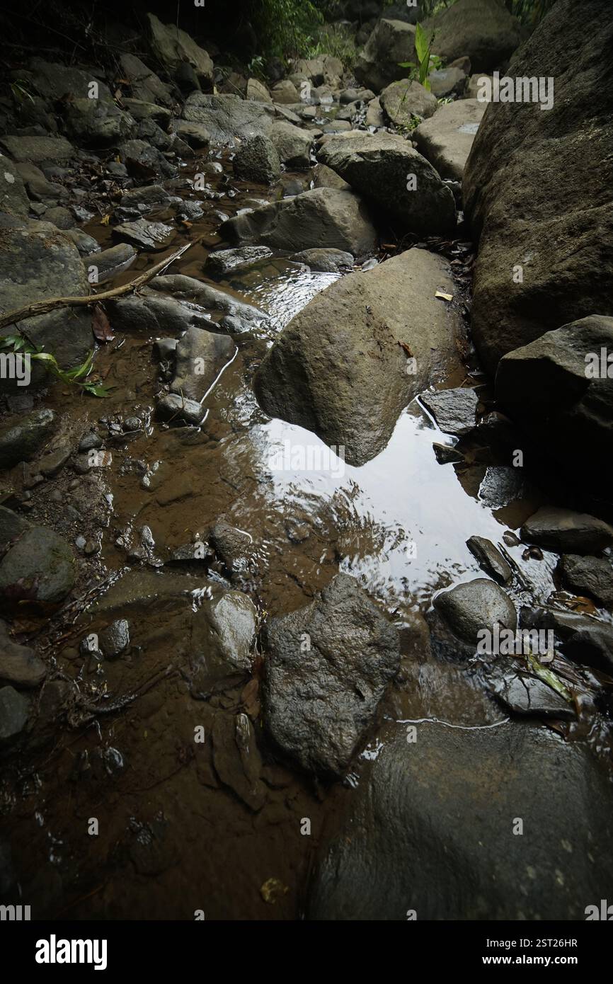Murky river flow hi-res stock photography and images - Alamy