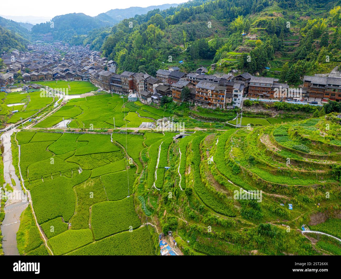 Aerial view of a paddy fields and the Zhaoxing Dong Village in Liping ...