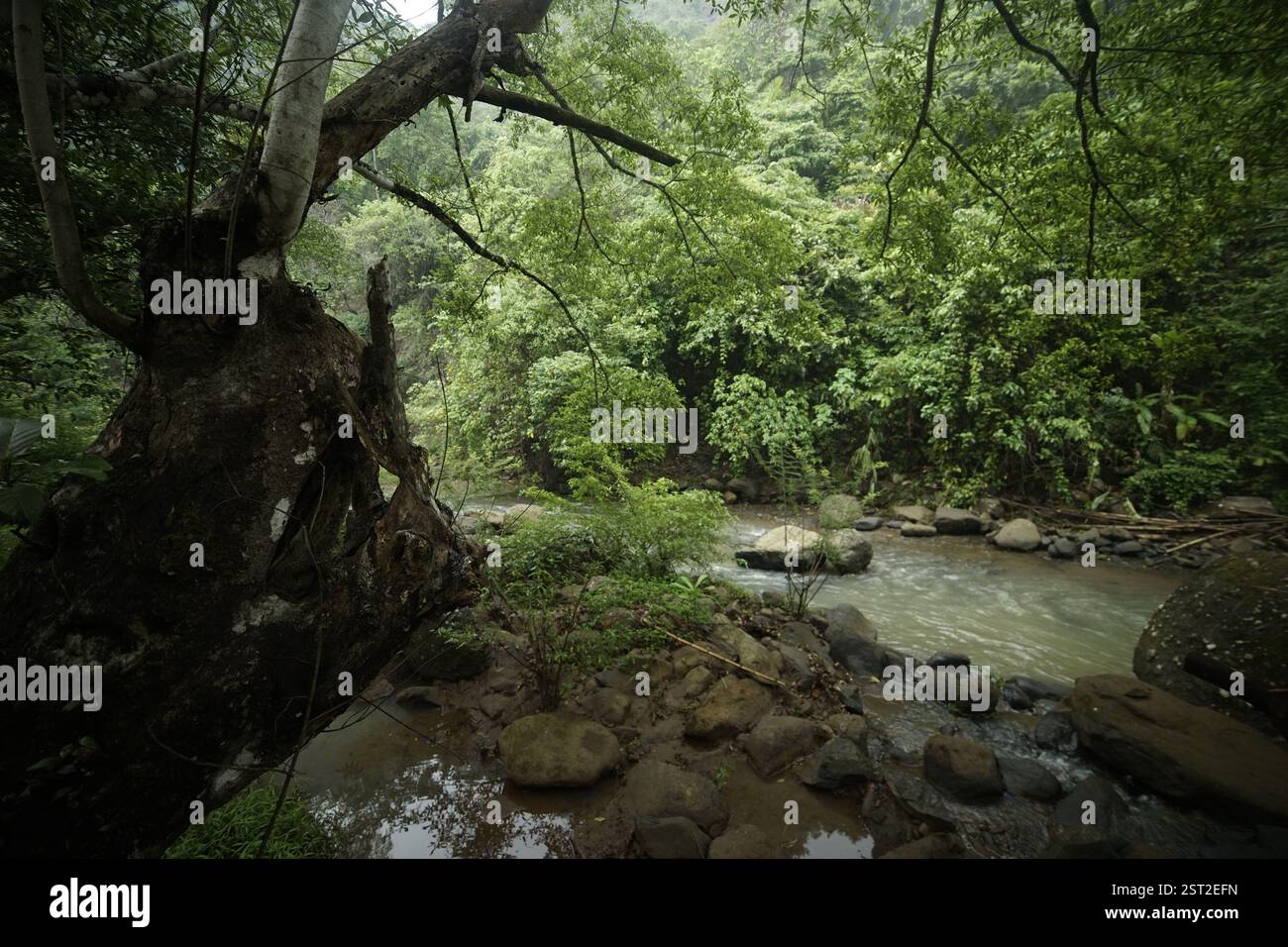 The river is rocky and the water is murky Stock Photo - Alamy
