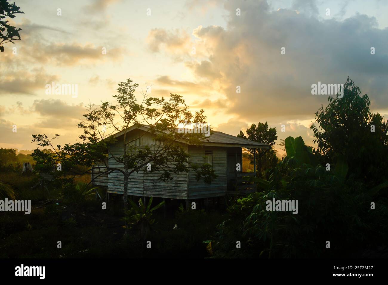 traditional transmigrant house in northern Kalimantan Stock Photo - Alamy