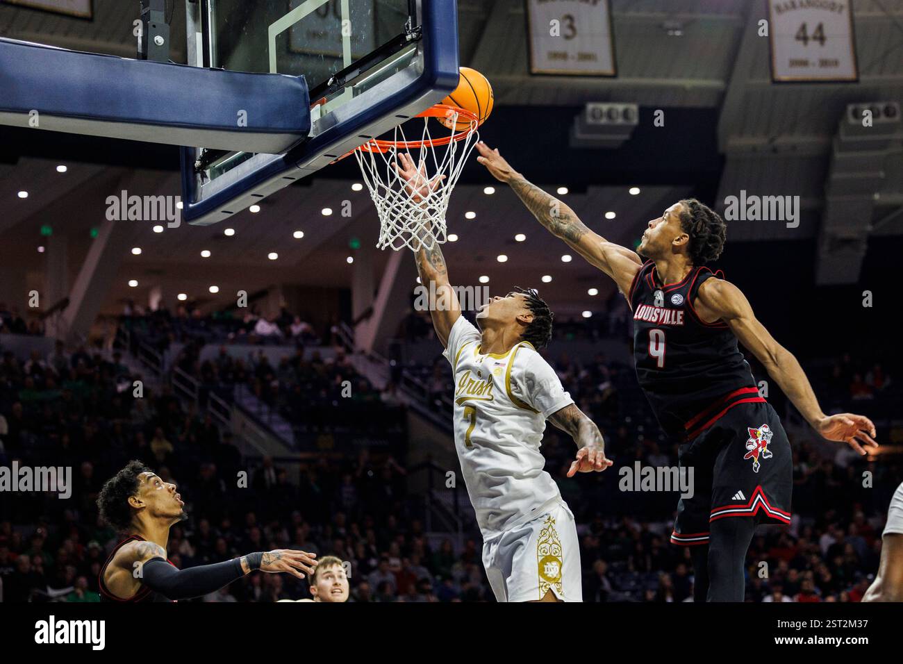 South Bend, Indiana, USA. 16th Feb, 2025. Notre Dame forward Tae Davis ...