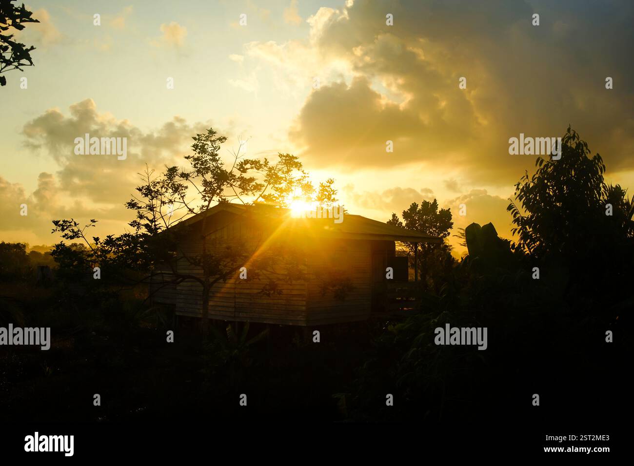 traditional transmigrant house in northern Kalimantan Stock Photo - Alamy